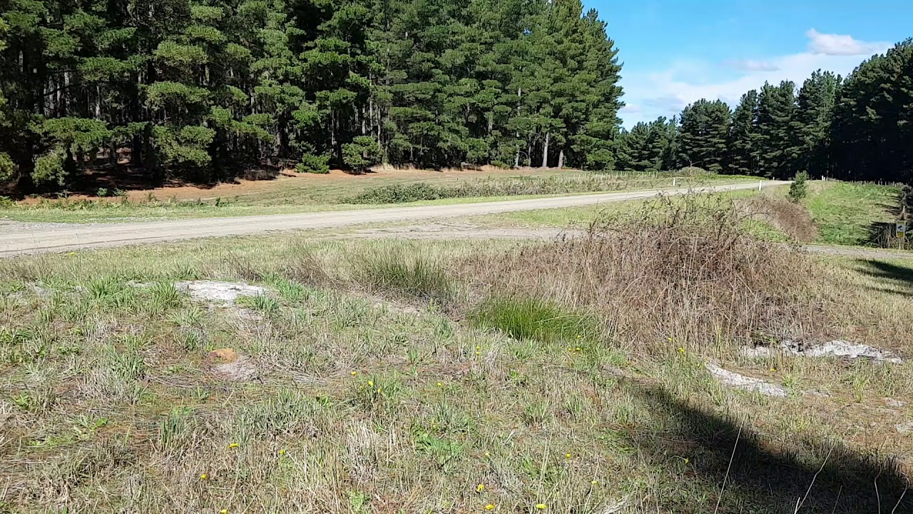 Nathan P4 train horn - YouTube