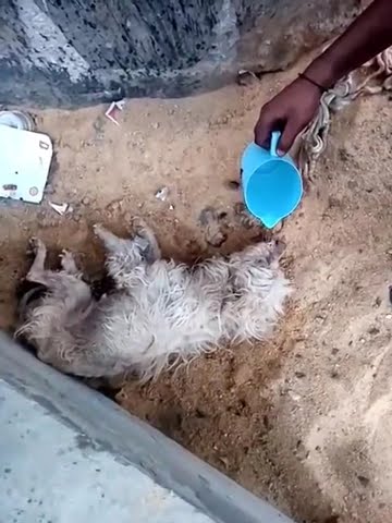 Blind & Sickly—Forced to Purposely & Silently Suffer, All While Being ...