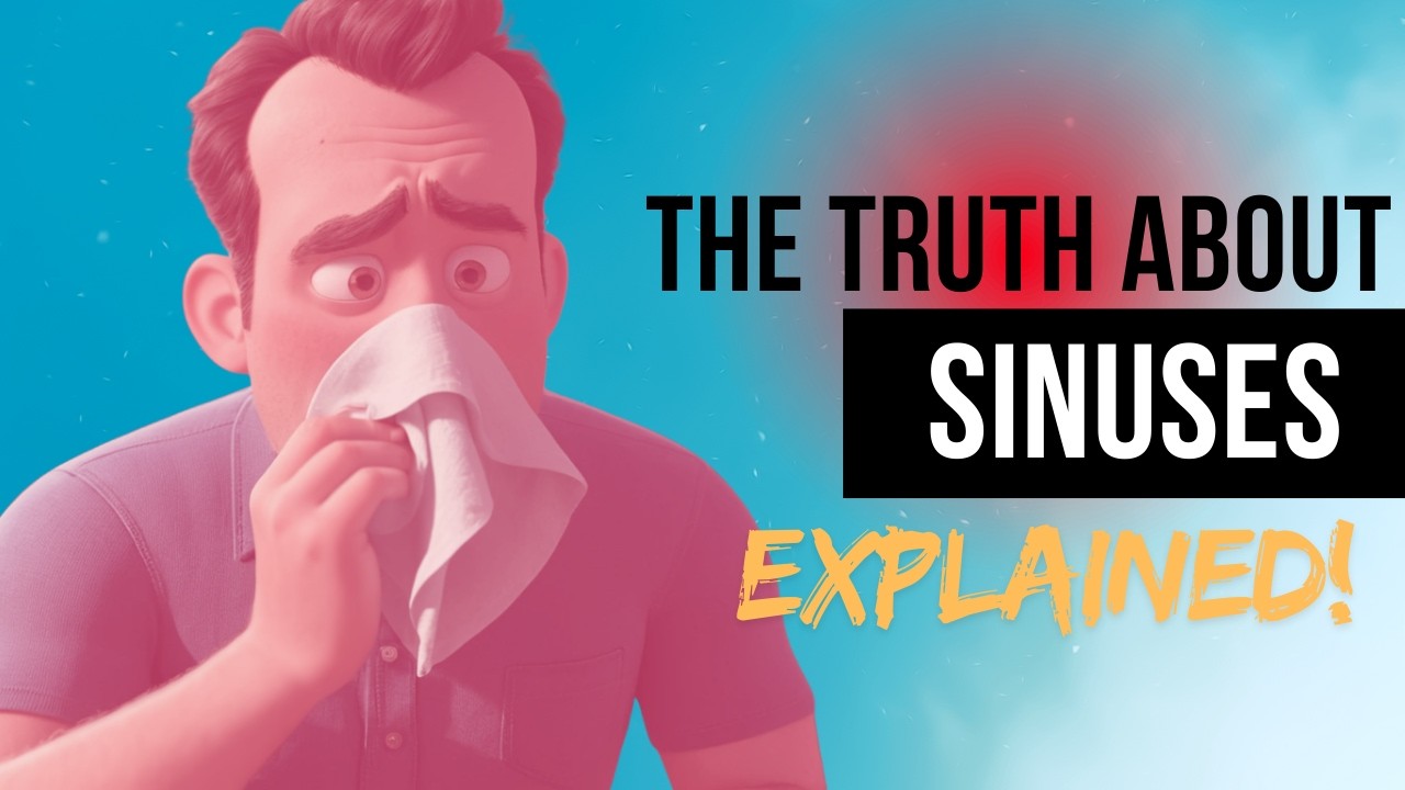 UNDERSTANDING SINUSITIS | What Do Sinuses Do? Sinusitis Pathophysiology | Sinus Physiology - YouTube