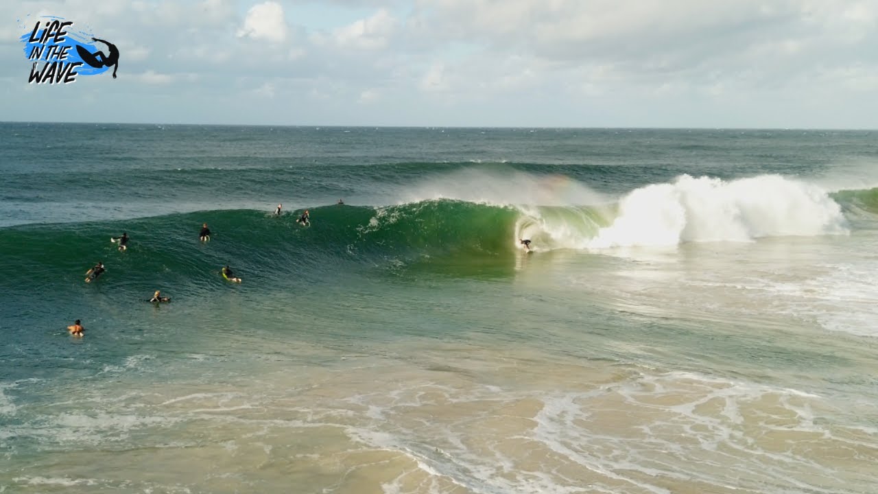 SNAPPER SURF WHAT A MAGICAL PLACE (Life In The Wave) - YouTube