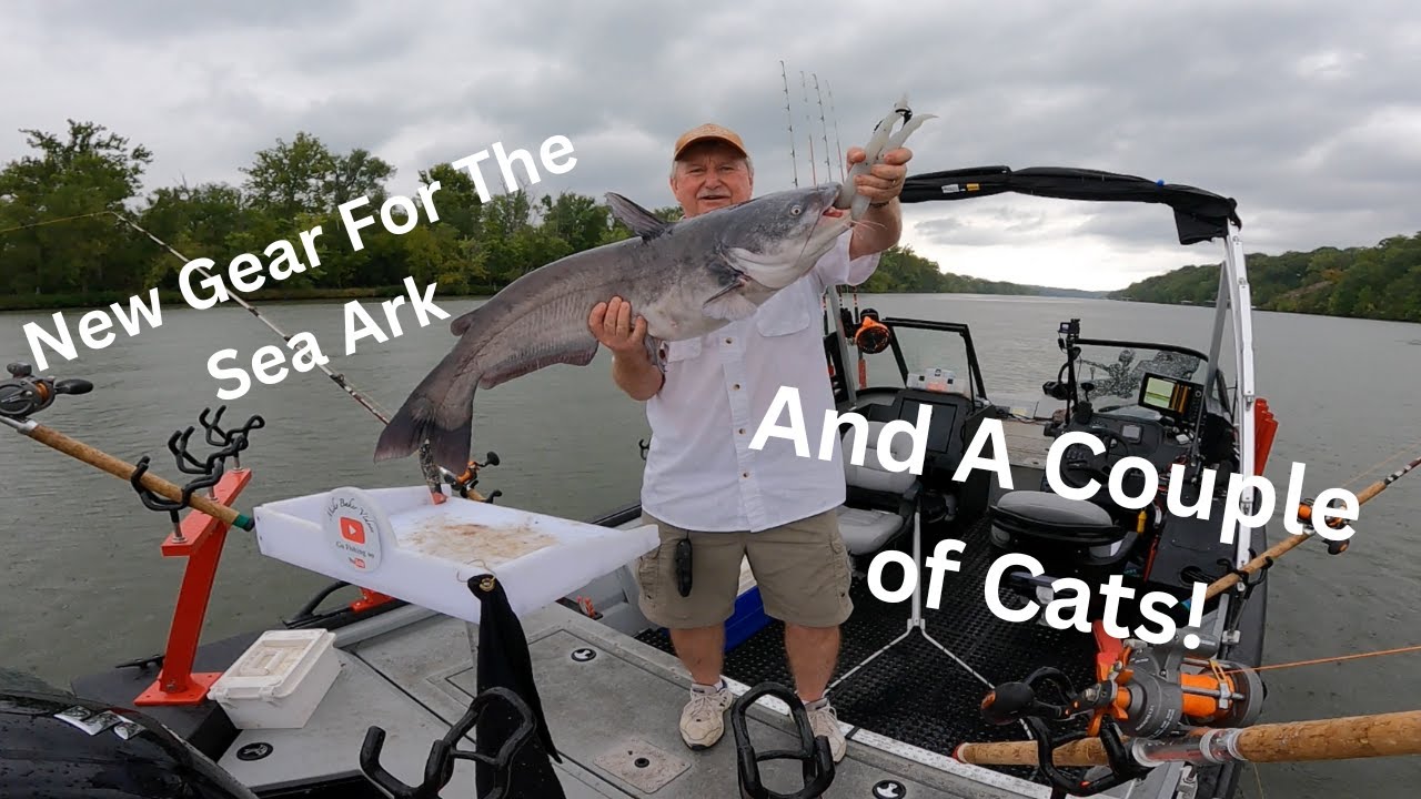 New Gear For The Sea Ark And A Couple Of Cats - YouTube
