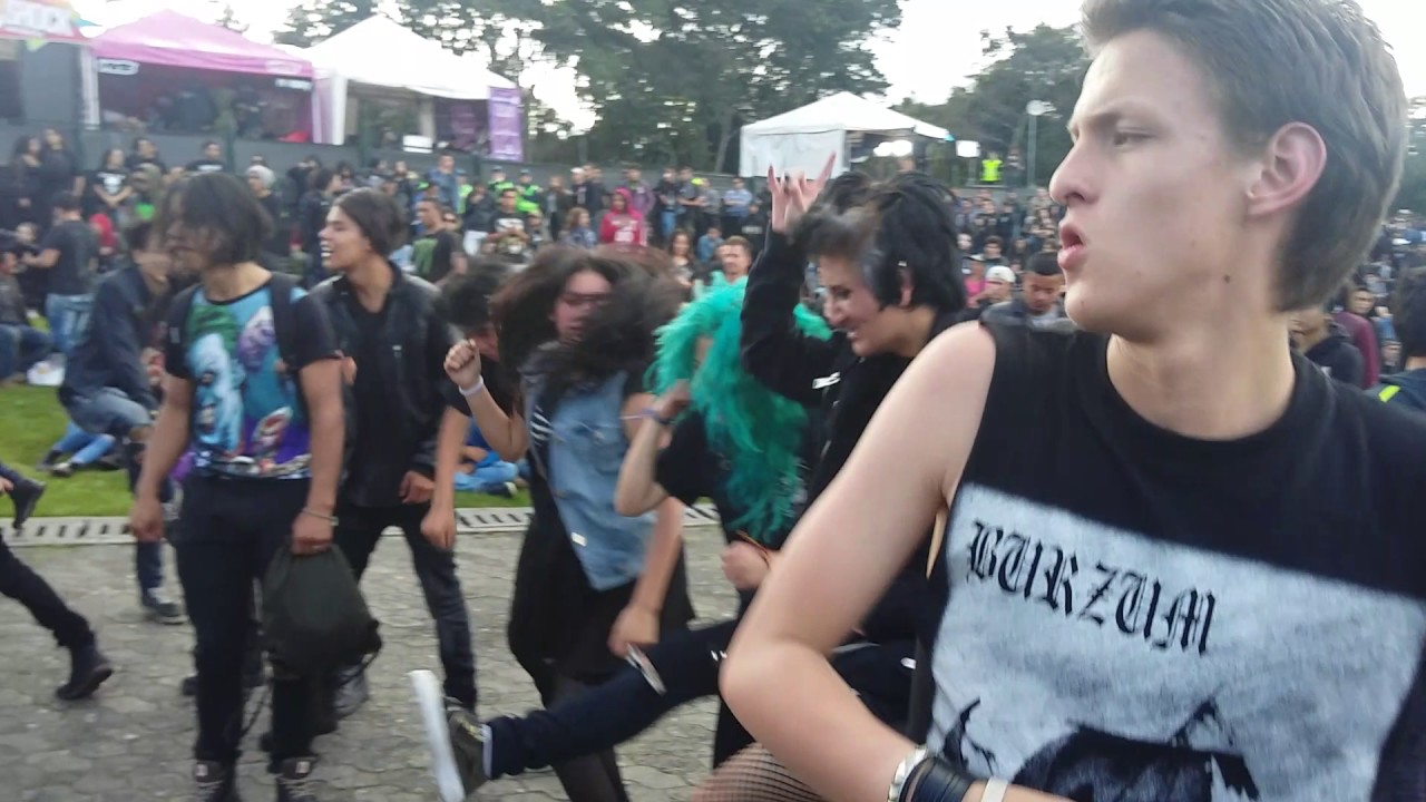 "POGO" ROCK AL PARQUE 2017.BAND NEW BLOOD - YouTube