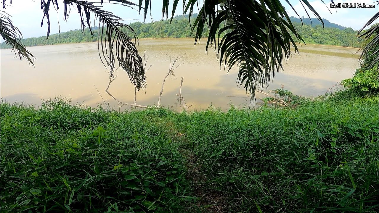 Memancing ikan tengalan sungai pahang - YouTube
