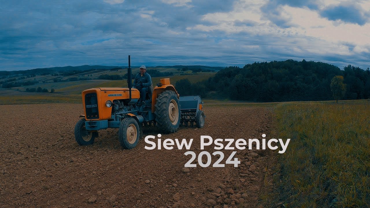 Siew Pszenicy 2024 | Ursus c360 & poznaniak - YouTube