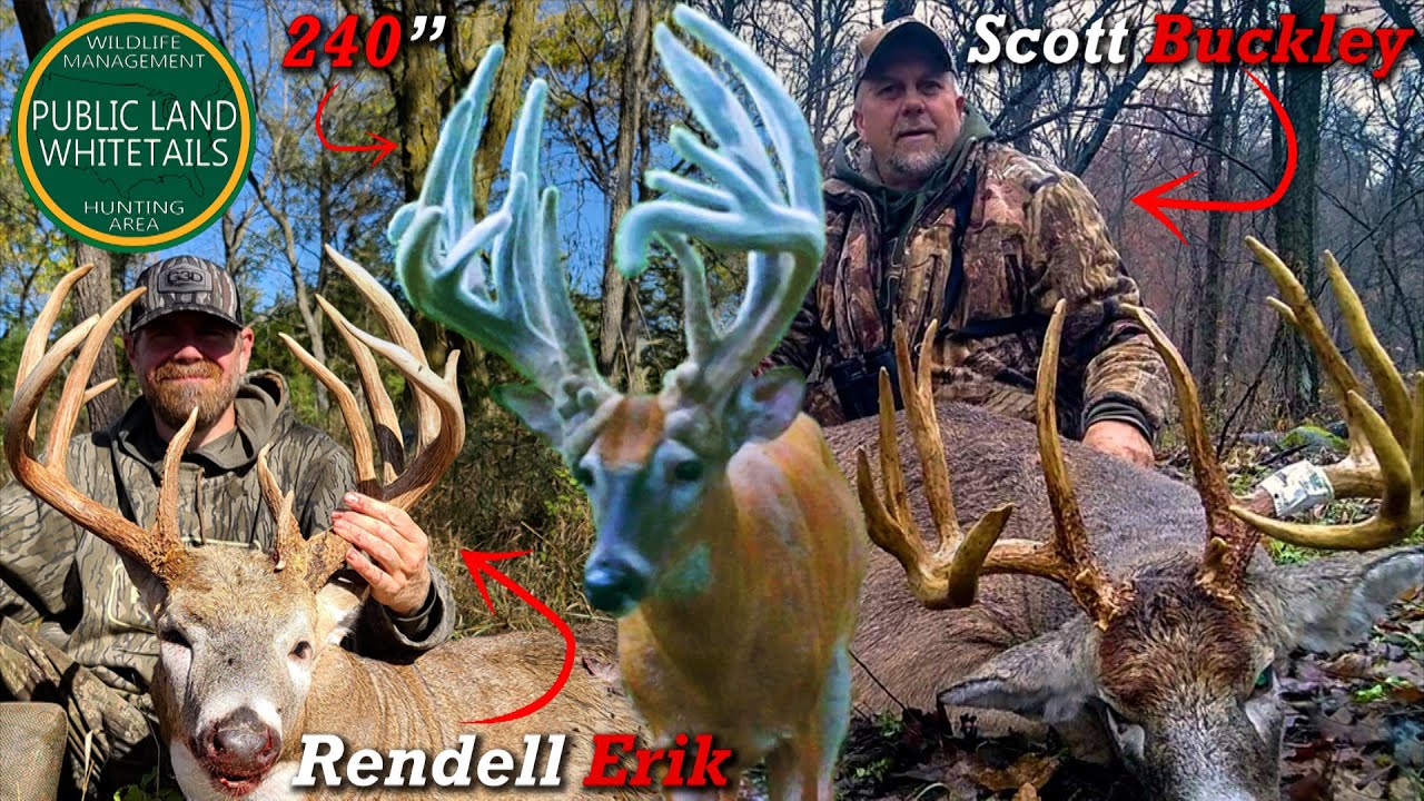 Two Public Land Legends Meet | Story Of A 240" Massive Buck | Scott ...