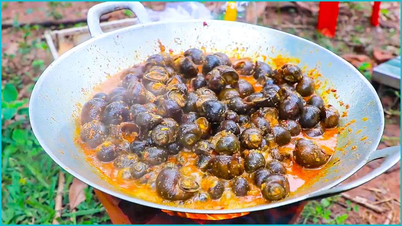 Cooking Fried snails Fried snails in water escargot recipe Local ...