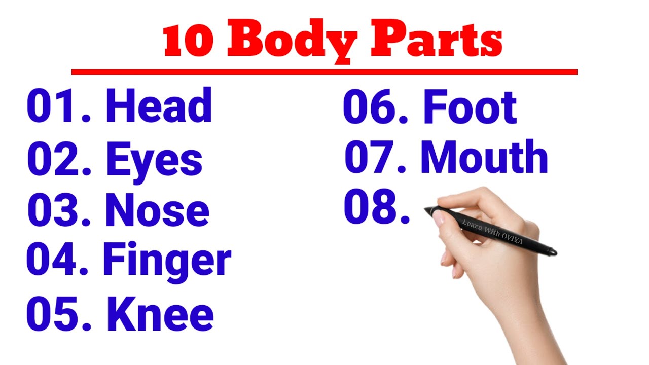 Write 10 Body Parts Name |Body Parts Name in English | Human Body Parts ...