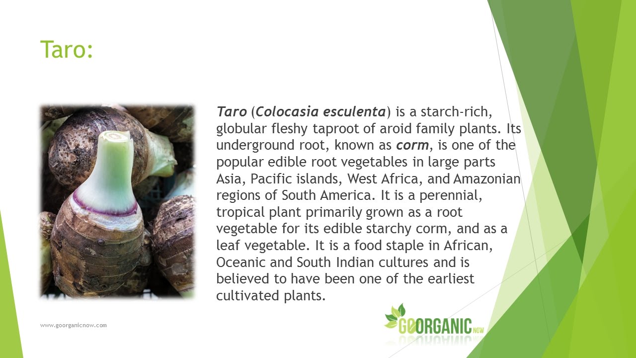 Health Benefits of Taro - YouTube