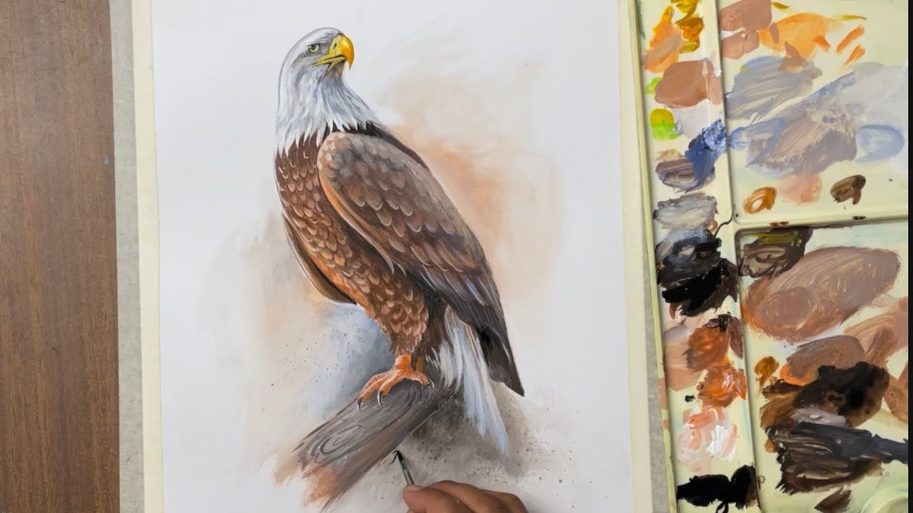 How to draw an Eagle with poster colour step by step - YouTube