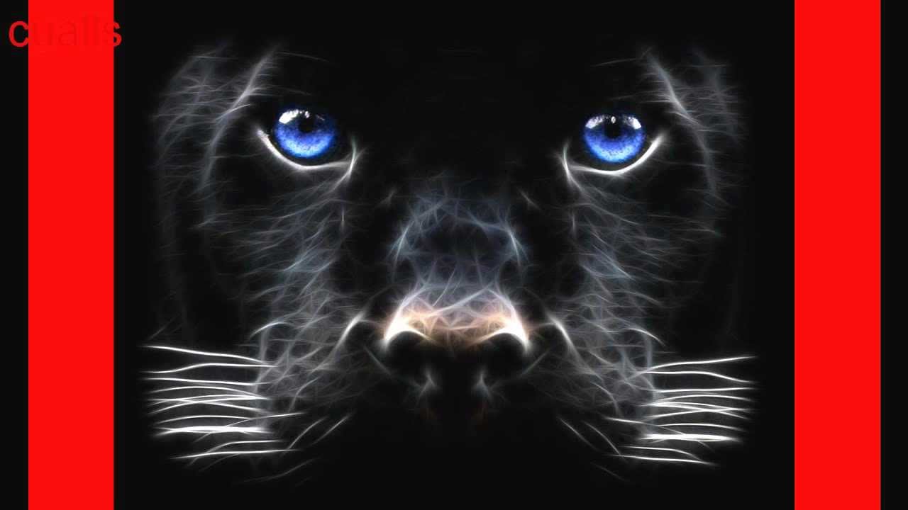 llllllllllllllllllllllllllllllllllllllllllllllllllll - YouTube