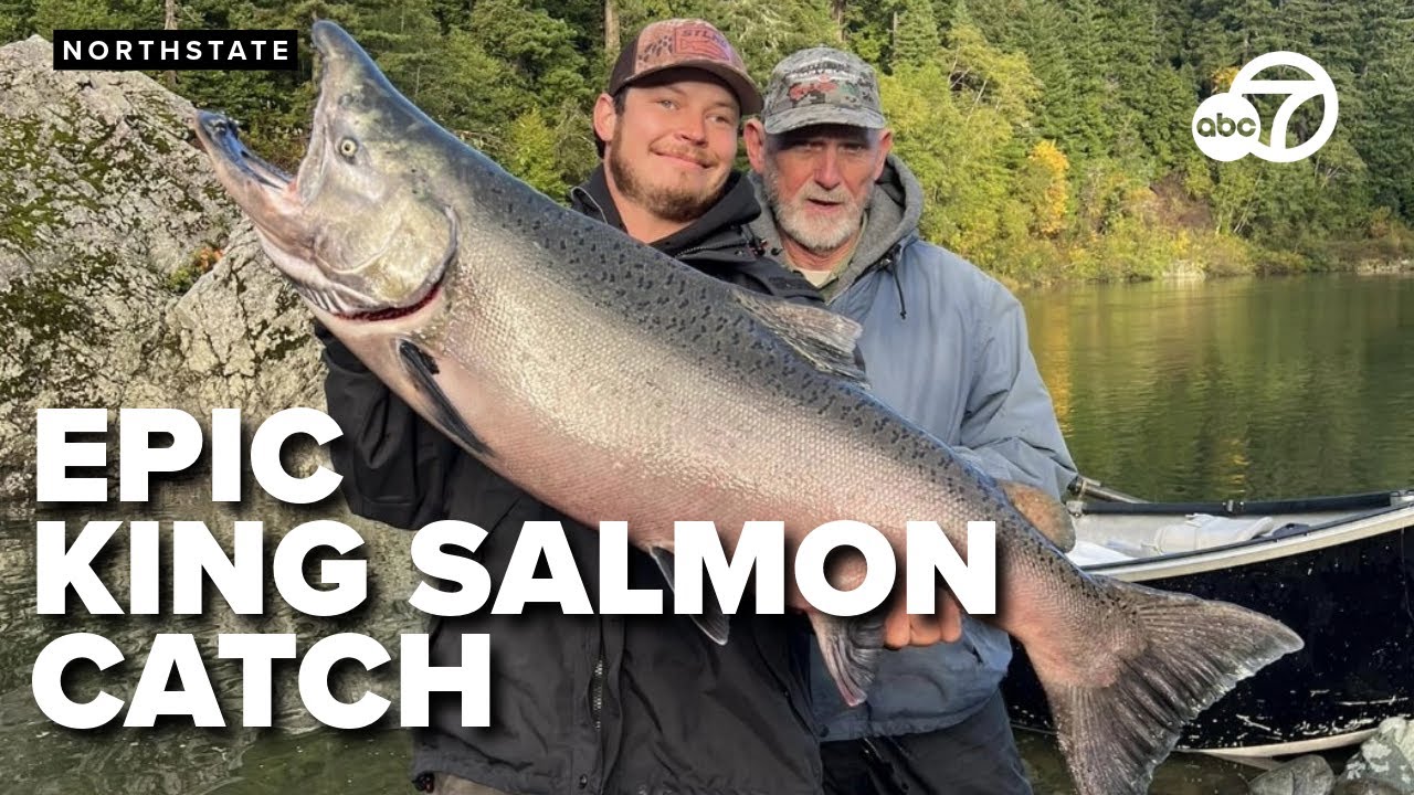 Enormous King Salmon caught in Northern California - YouTube