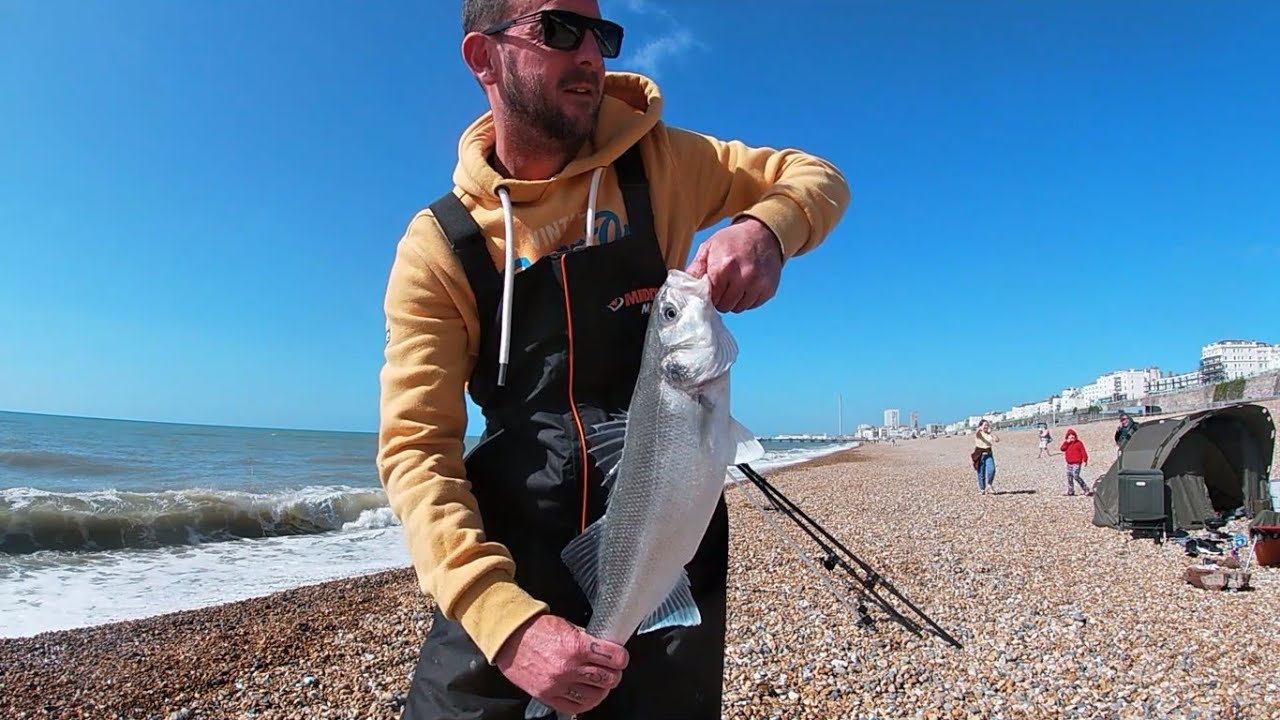 Sea Fishing Brighton Beach - Rough conditions and mixed species - YouTube