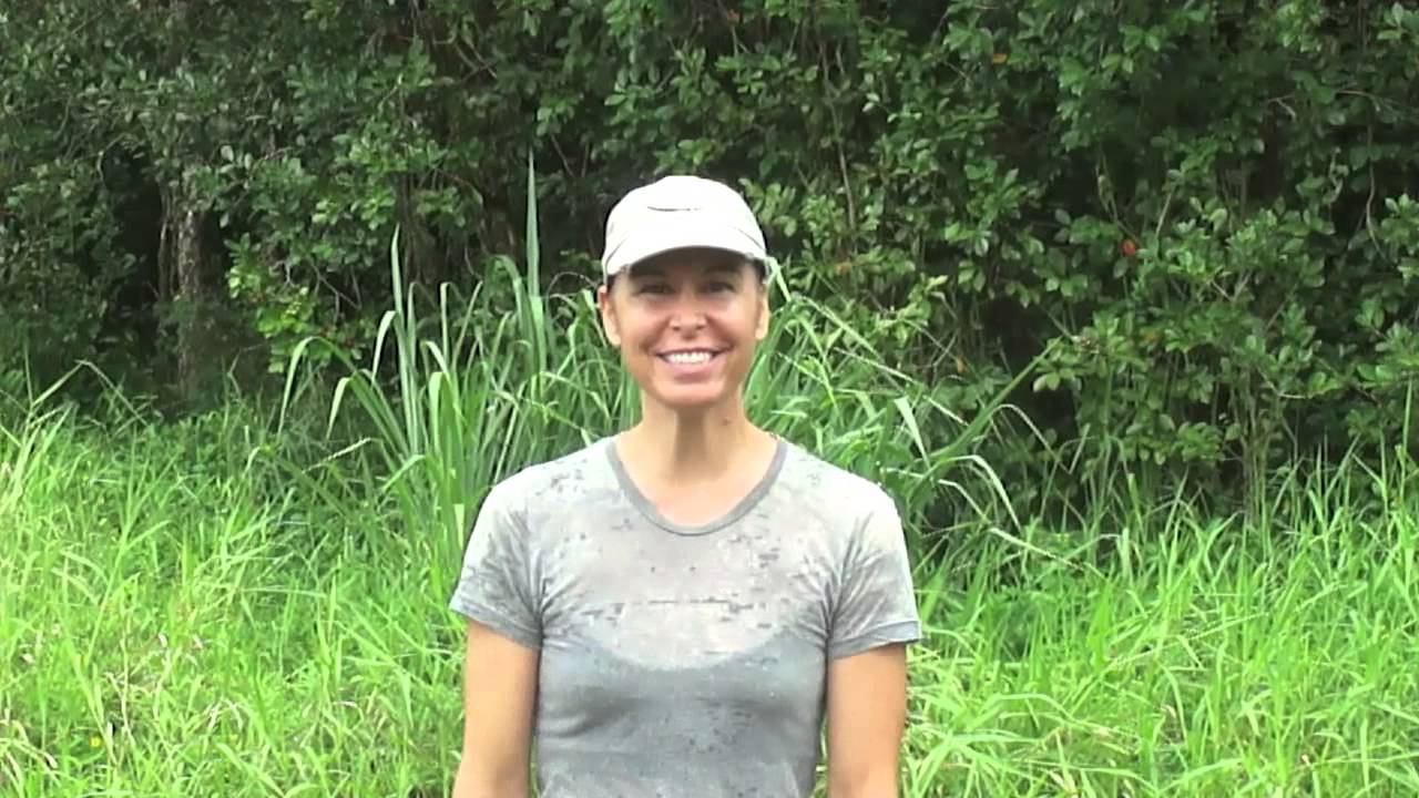 Annetta Lucero's New 3-DVD Set - YouTube