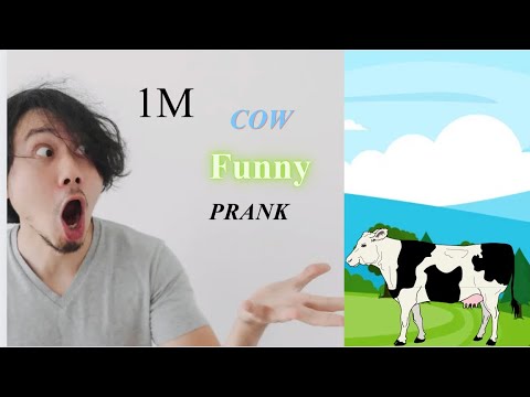 Cow funny 😄 prank with public - YouTube