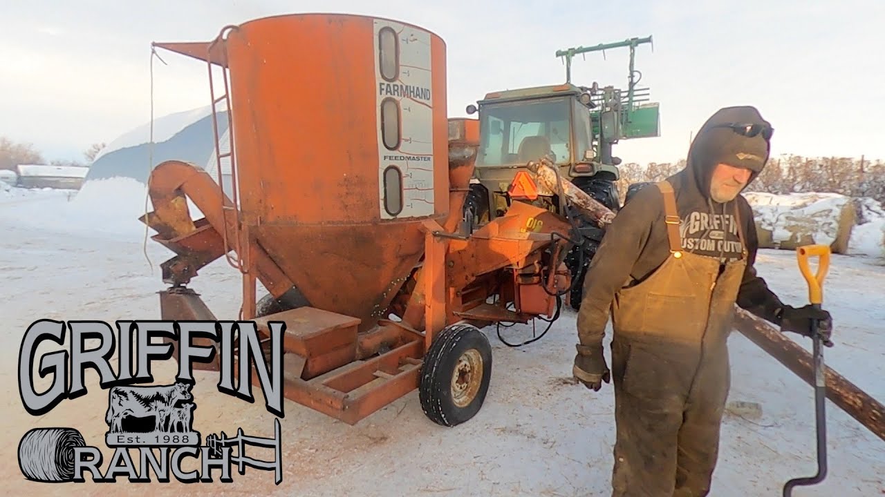 Cracking Corn And Working Calves - YouTube