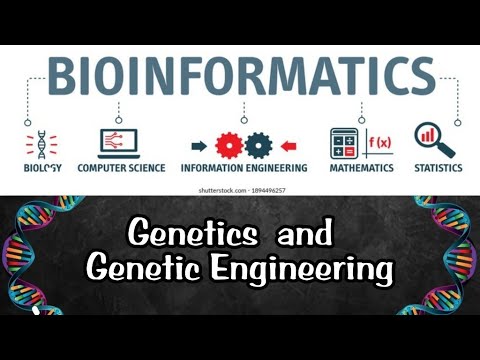 Bioinformatics: lec_1 Genetics and Genetic Engineering | شرح بالعربي ...