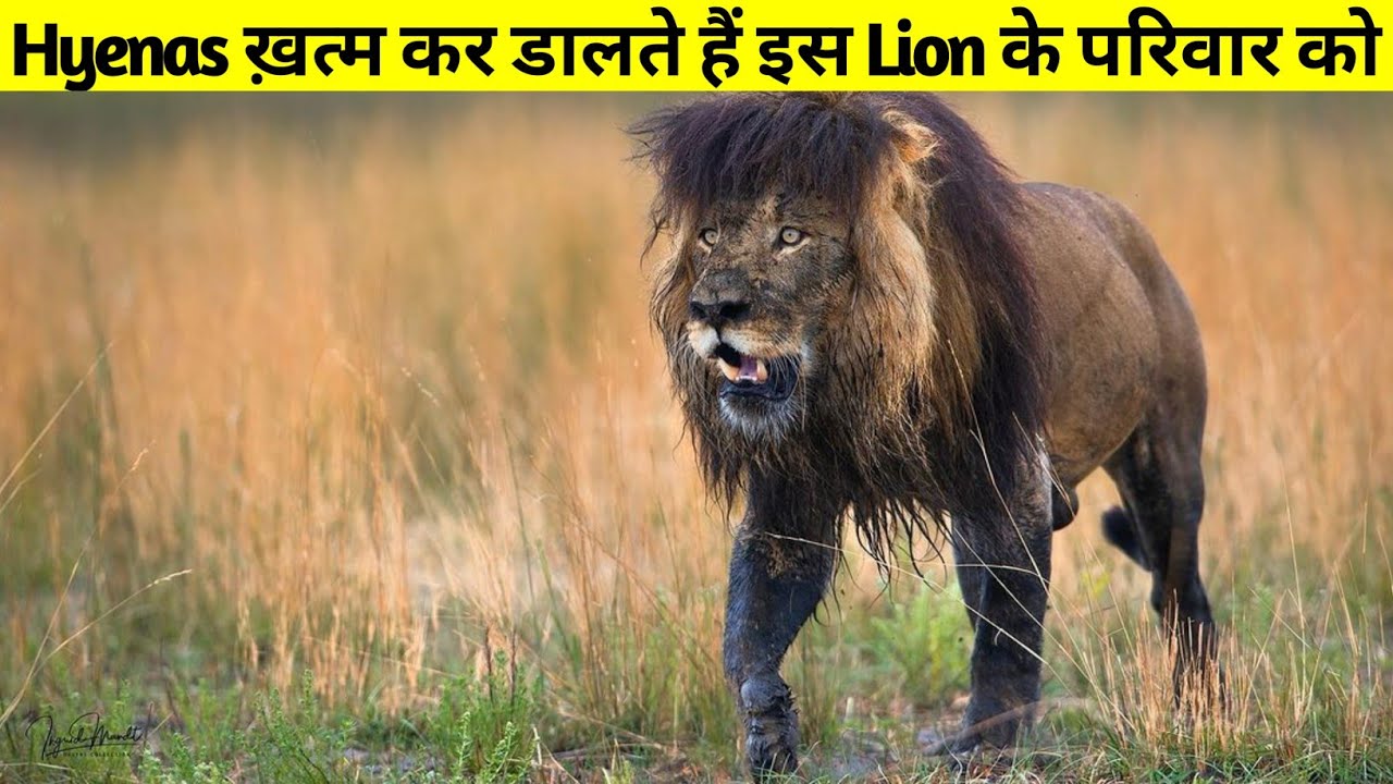 परिवार कि मौत का बदला लेने के लिए हों जाता है पागल || The True Story Of ...