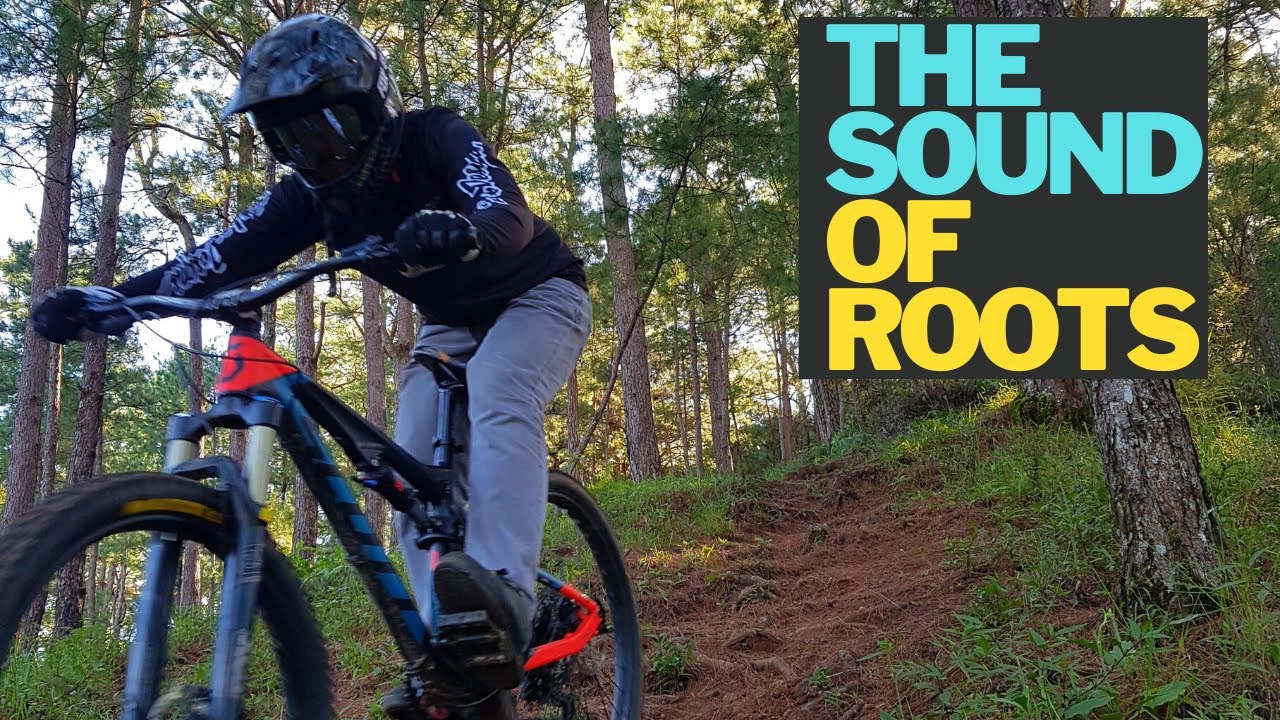 Riding Roots on MTB (ASMR/ RAW POV) - YouTube