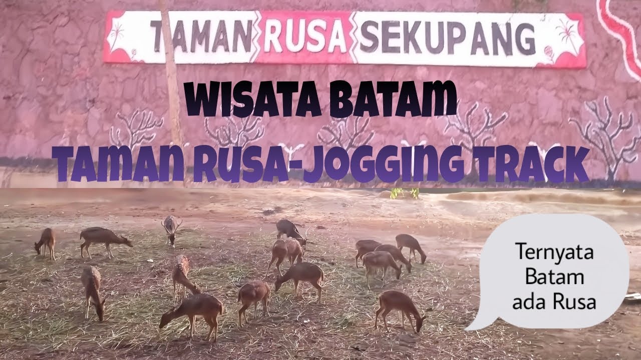 Wisata Taman Rusa (Jogging Track)-Sekupang || Wisata Batam - YouTube