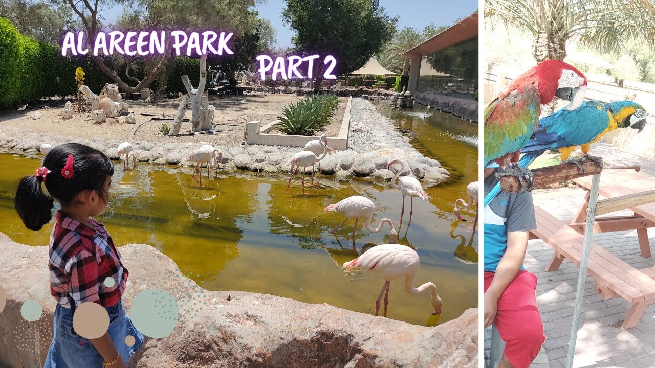 Part 2 Al Areen Wildlife Park Bahrain - YouTube