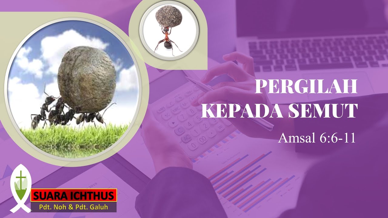 SUARA ICHTHUS "PERGILAH KEPADA SEMUT" (AMSAL 6:6-11) - YouTube