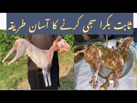 Full Goat 🐐 With Inside Rice Recipe || Balochi Sajji || Balochistan ...