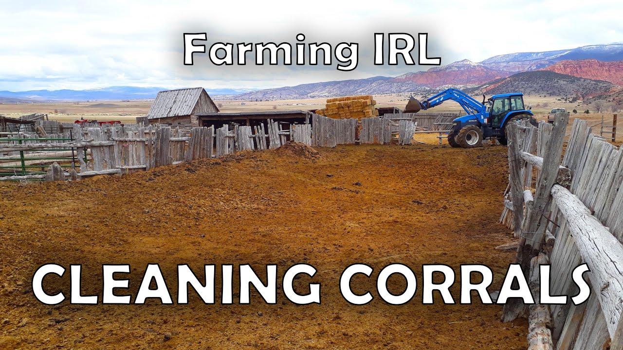 [FARMING IRL] CORRAL CLEAN 2020 - YouTube