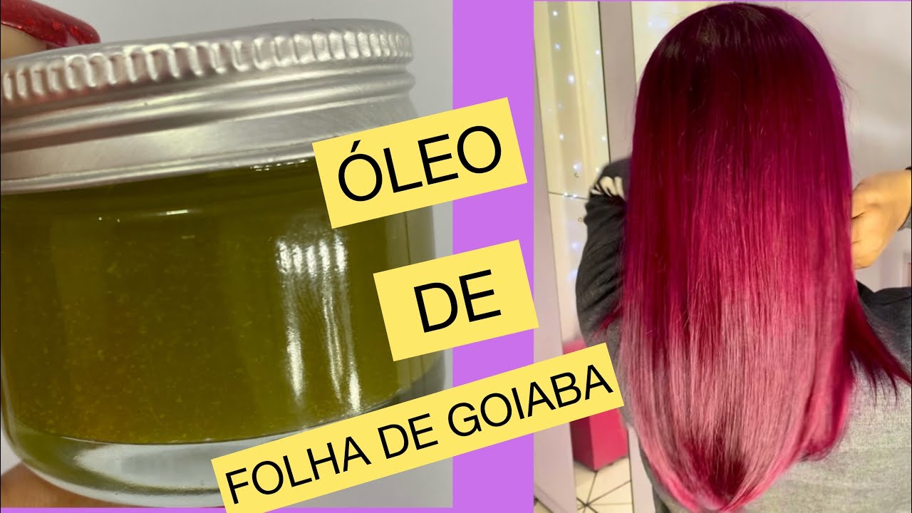 COMO FAZER ÓLEO DE FOLHA DE GOIABA e COMO USA ?UMECTACAO CRESCE ACABA ...