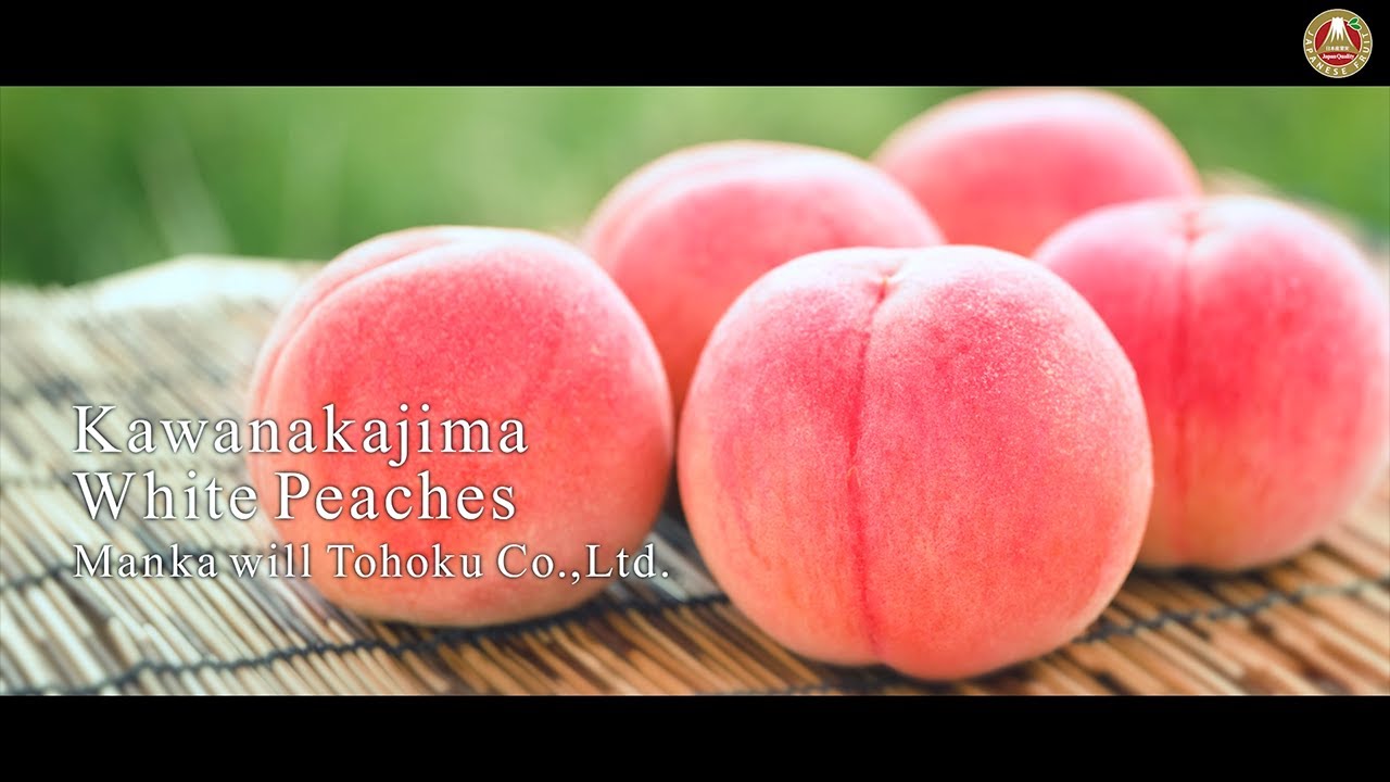 The Journey of Japanese Peaches Manka will Tohoku Co.,Ltd. - YouTube