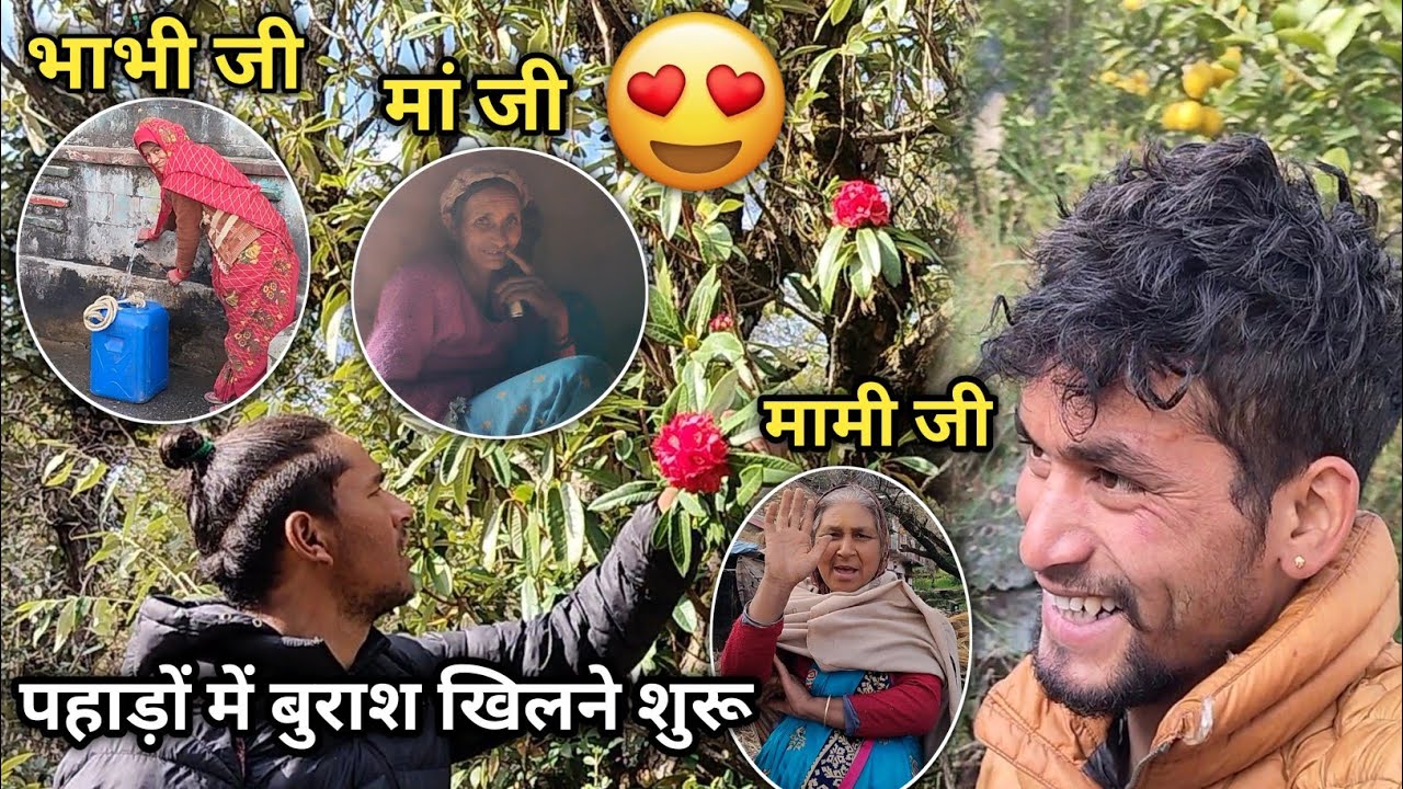 पहाड़ी काम काज😊|| पहाड़ो में बुरांश खिलने शुरू || Pahadi Lifestyle Vlogs || Deepak kandari vlogs ...