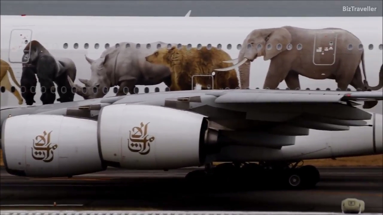 [HD] Emirates A380 "Animals of the World" departs to Brisbane - YouTube