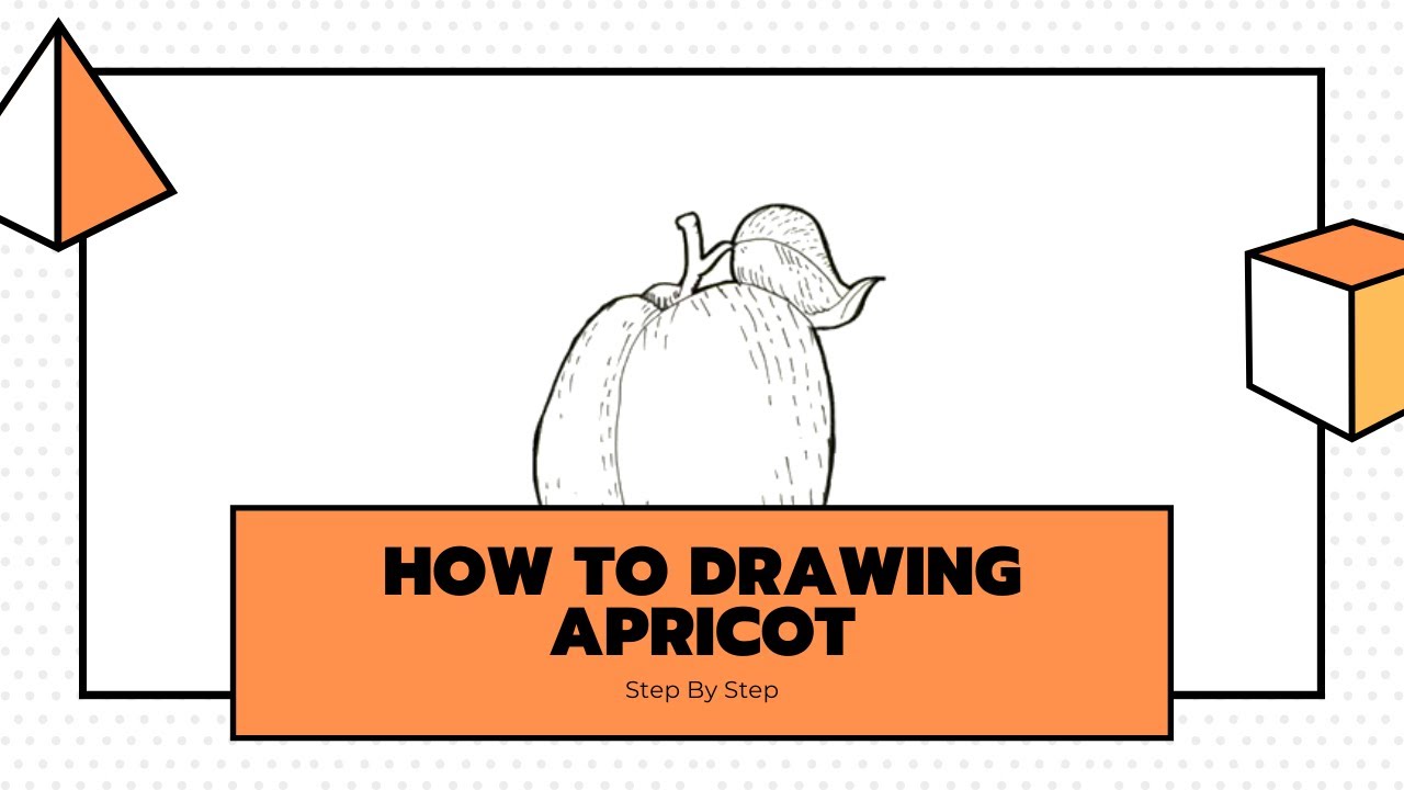 How to Draw Apricot Easy | Step By Step - YouTube