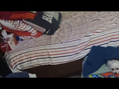 CASPER and i Vlog is live..COLD MORNING EVERYONE.. - YouTube