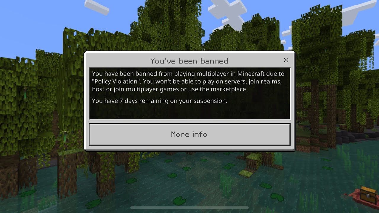 I Got Banned on Minecraft for a week - YouTube