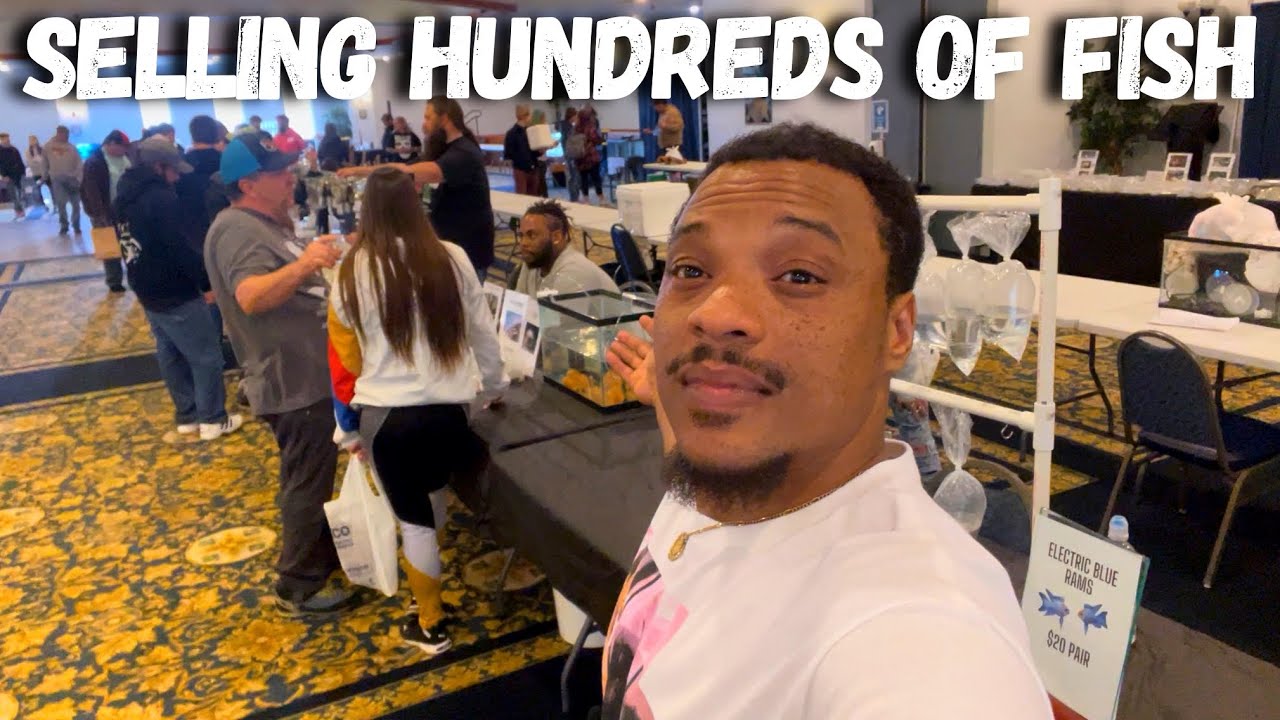 Selling Hundreds Of Fish At The Biggest Fish Swap! - YouTube