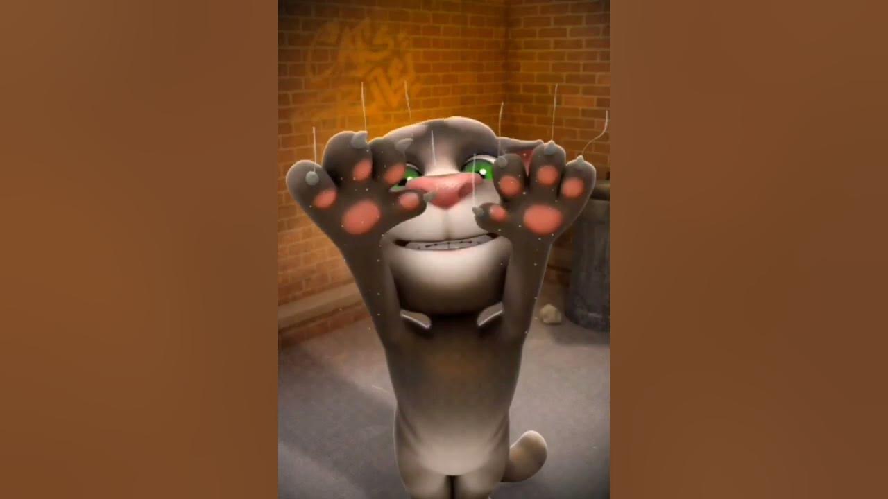 New Talking Tom Cat Scratches Your Screen Youtube