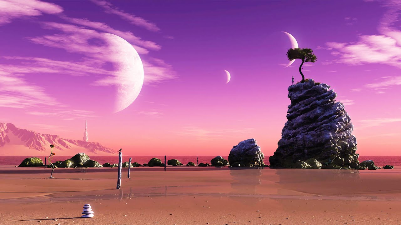 Decisive Koala - Moonlight Beach - YouTube