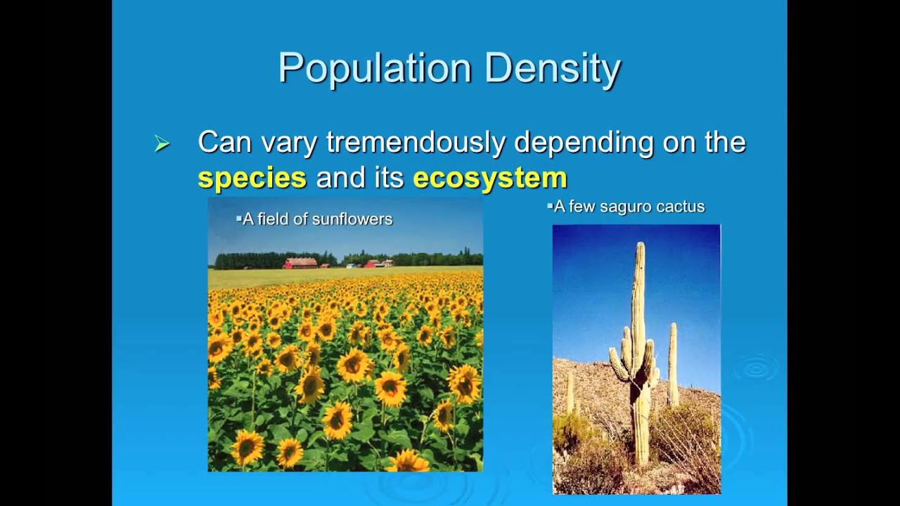 5-1-how-populations-grow-1-of-2-youtube