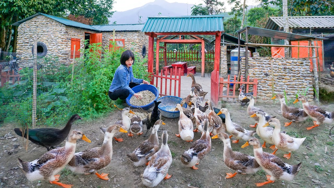 Taking Care Of The Farm Alone After Her Husband Went To Work Far Away ...