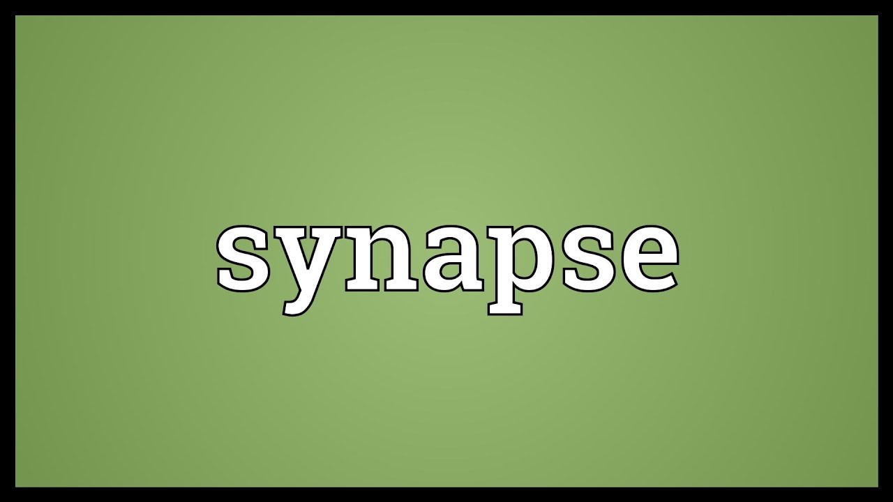 Synapse Meaning - YouTube