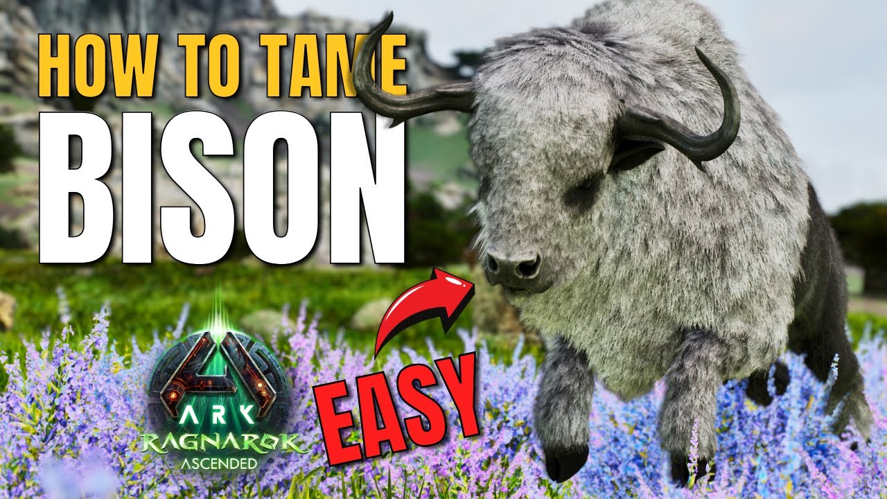 How to Tame the NEW Bison on Ragnarok | Ark Survival Ascended - YouTube