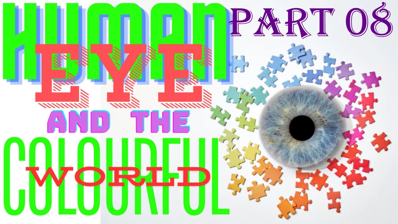 Human eye and the colourful world practice questions part 08 - YouTube