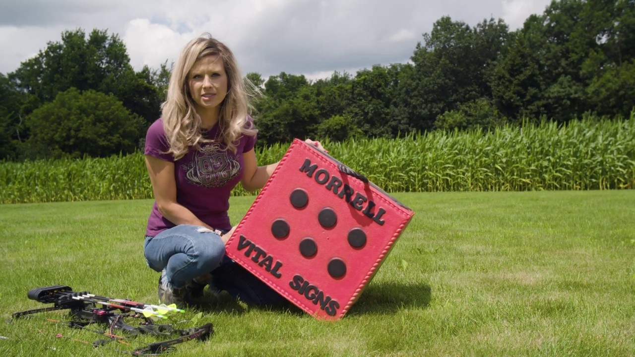 Vital Signs 2 Combo Archery Target review by Nicole Reeve of Driven ...