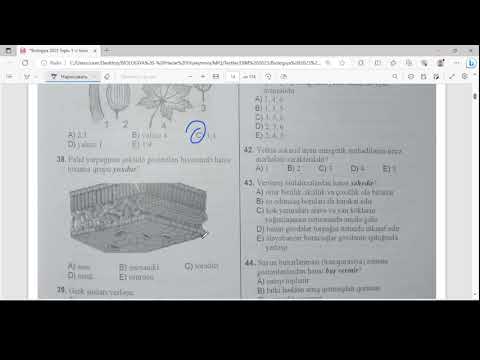 Biologiya DİM 2023 . Vegetativ orqanlar