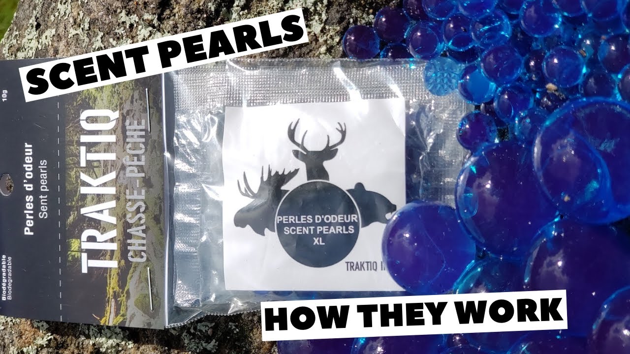 Scent pearls from TRAKTIQ : How to use, what they do! - YouTube