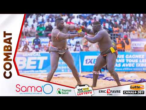 Franc bat Tapha Tine – Journée Jambaar Production – 15 février 2026