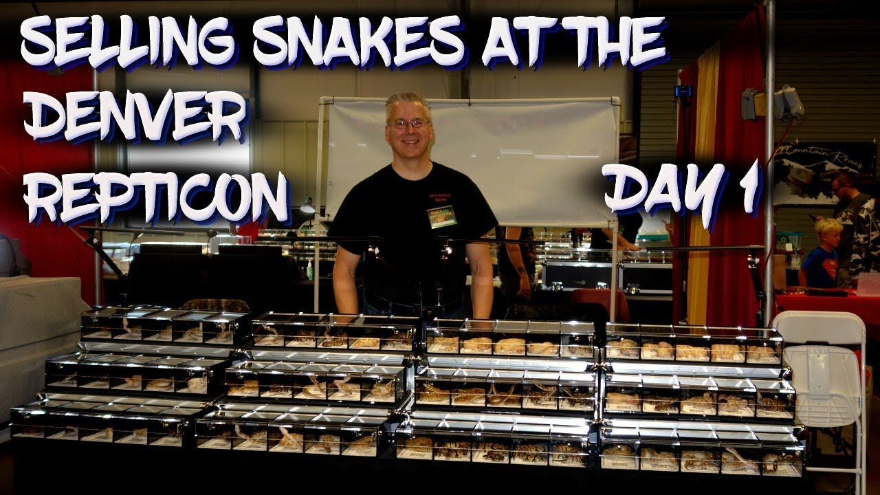 Selling Snakes at the Denver Repticon (Day 1) - YouTube