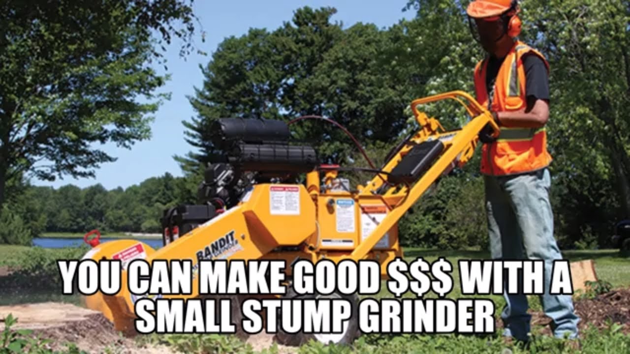 You can make good $$$ with a small Stump Grinder - YouTube