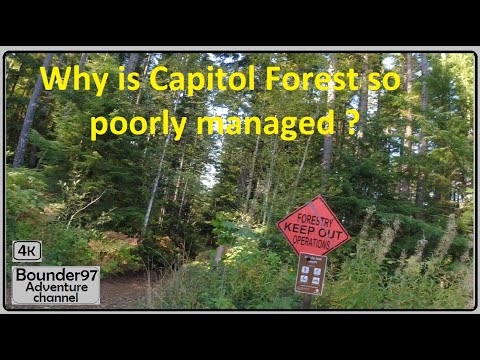 Why is Capitol Forest is so poorly managed? - YouTube