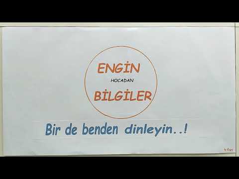 KIYI ŞEKİLLERİNİN ÇEŞİTLERİ VE ÖZELLİKLERİ,TÜRKİYE'DE HANGİ KIYI ŞEKLİ NEREDE GÖRÜLÜR.